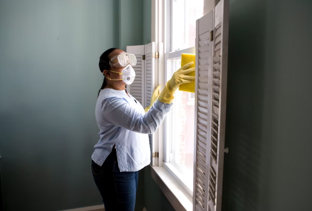 House Cleaning and How to Keep Your Home & Environment Healthy ...